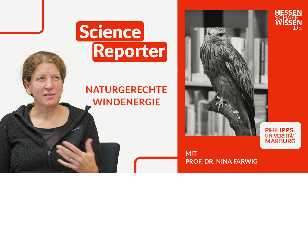 Science Reporter: Naturverträgliche Windenergie – Hessen schafft Wissen