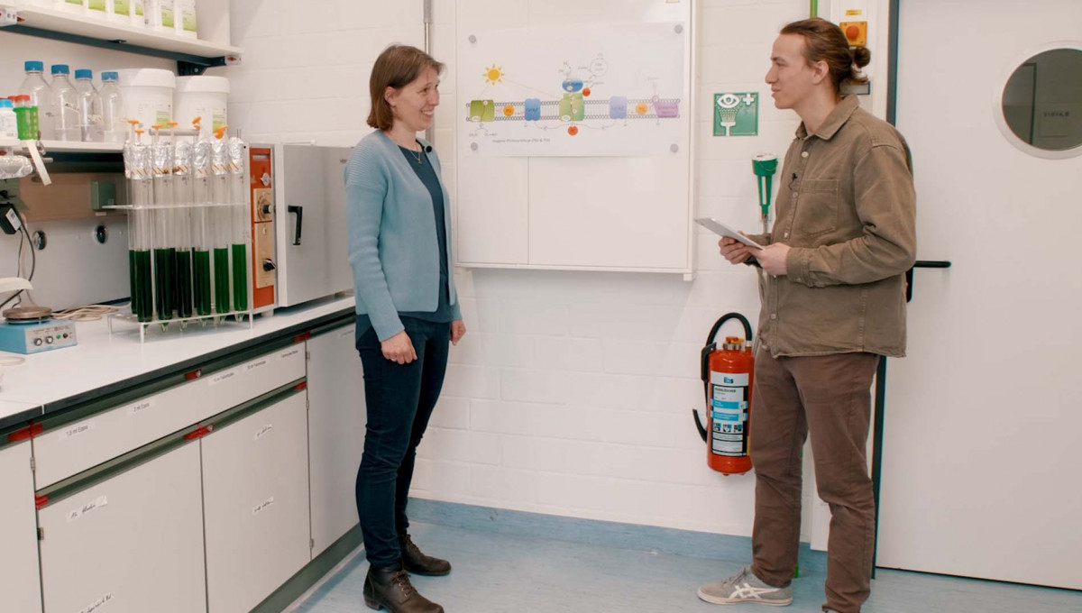 Pflanzenphysiologie – Hessen schafft Wissen