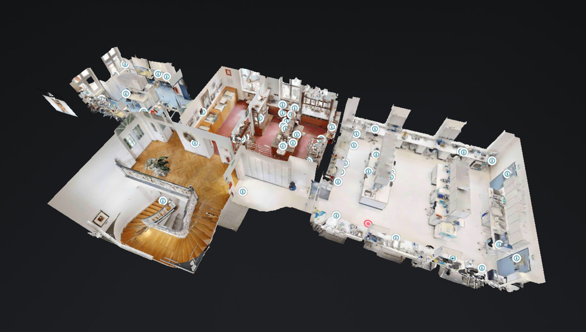 Science Spaces 3D: Institut für Tumorbiologie und experimentelle Therapie – Hessen schafft Wissen