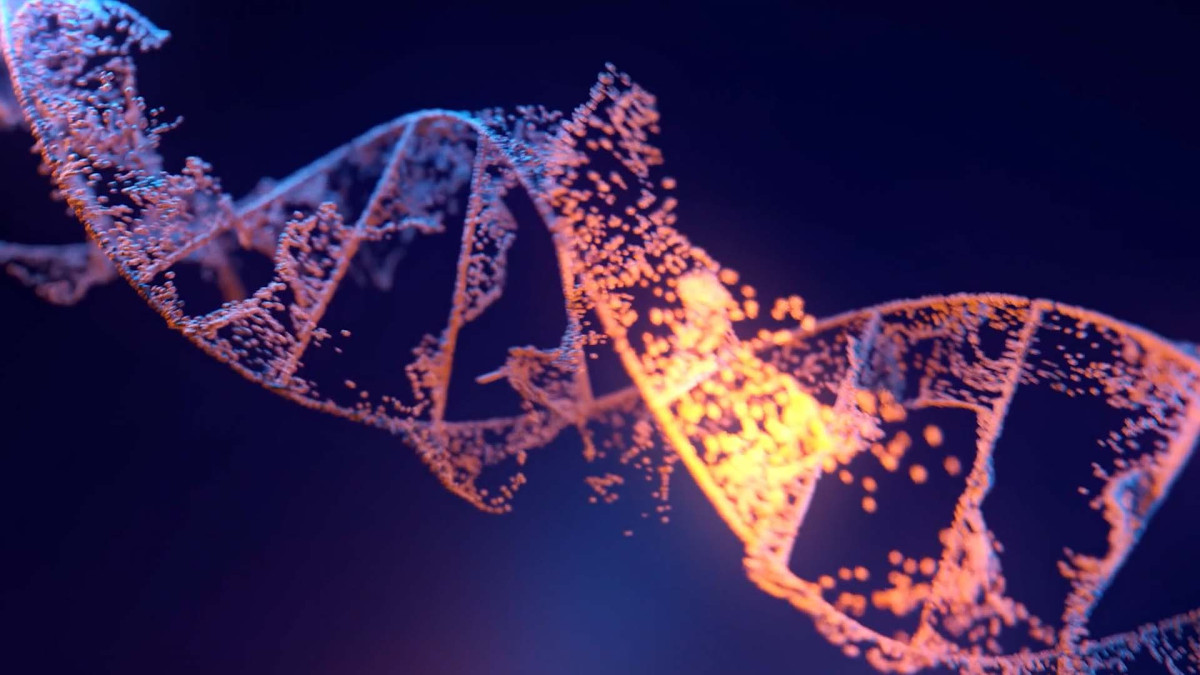 Wissen animiert: MOSLA - DNA als Datenspeicher – Hessen schafft Wissen