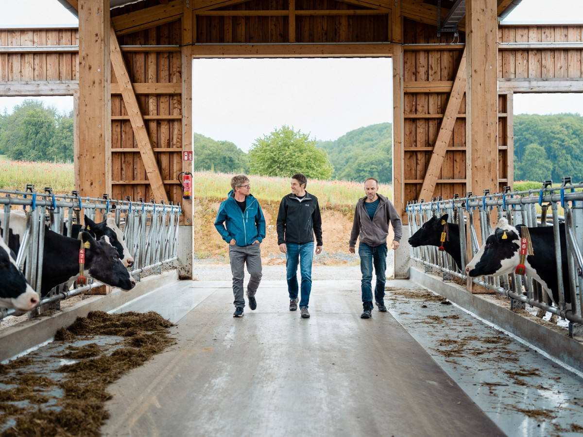 Zwischen Stall und Weide - GreenDairy - 2 – Hessen schafft Wissen